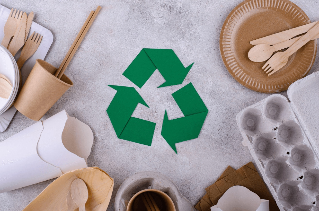 Environmental Sustainability: Do It Right With Asia Pulp and Paper