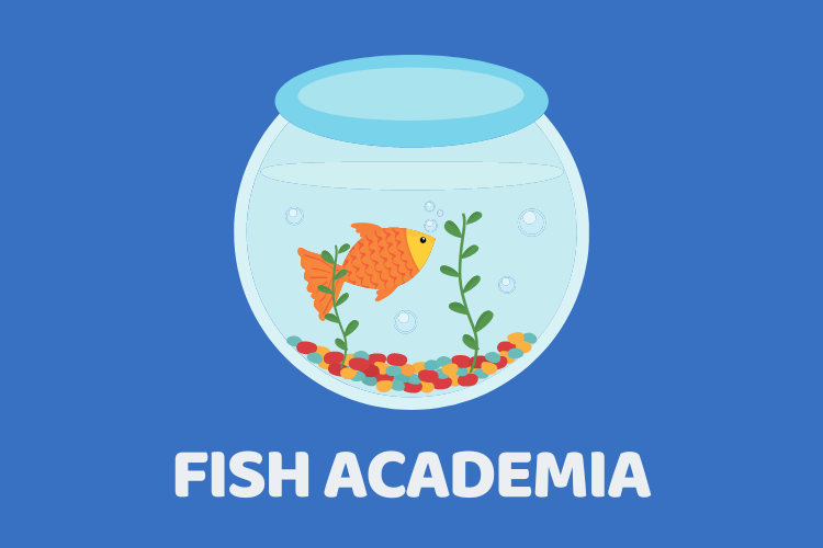 Introducing Fish Academia: The Ultimate Fishkeeping Resource
