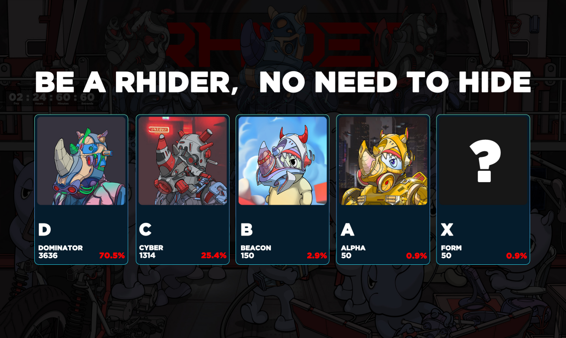 RHIDER NFT- Create Possible for Impossible