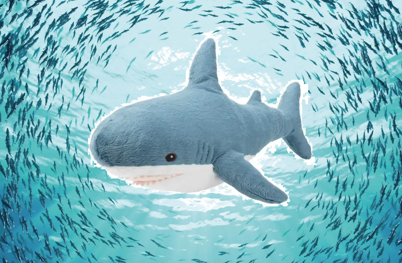Shark Plush Toy Maker ZW Plush Supports Marine Biology Research through ...
