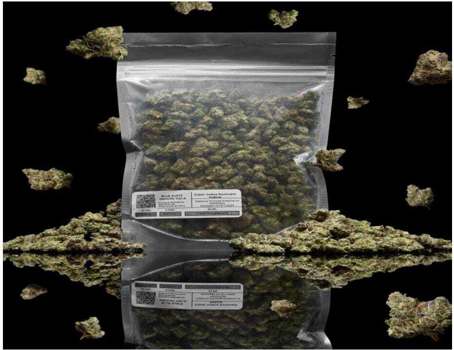 Black Tie’s Popcorn Buds: Small in Size, Big in THC-A Power