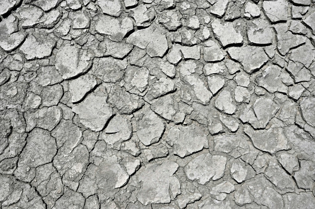 Italy's famous Po Valley rice paddies decimated by drought