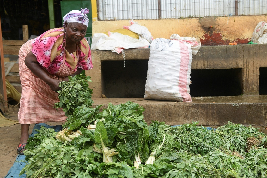 Kenya's 'mama mboga' pinning their hopes on the future president