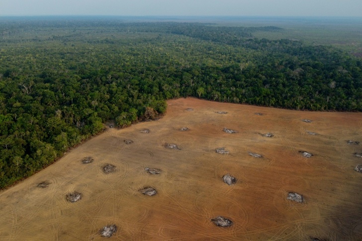 Brazil sets new Amazon deforestation record for October